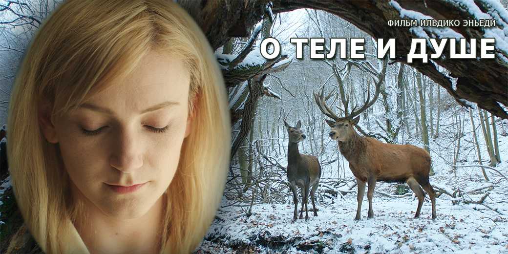 liniya live – Детали