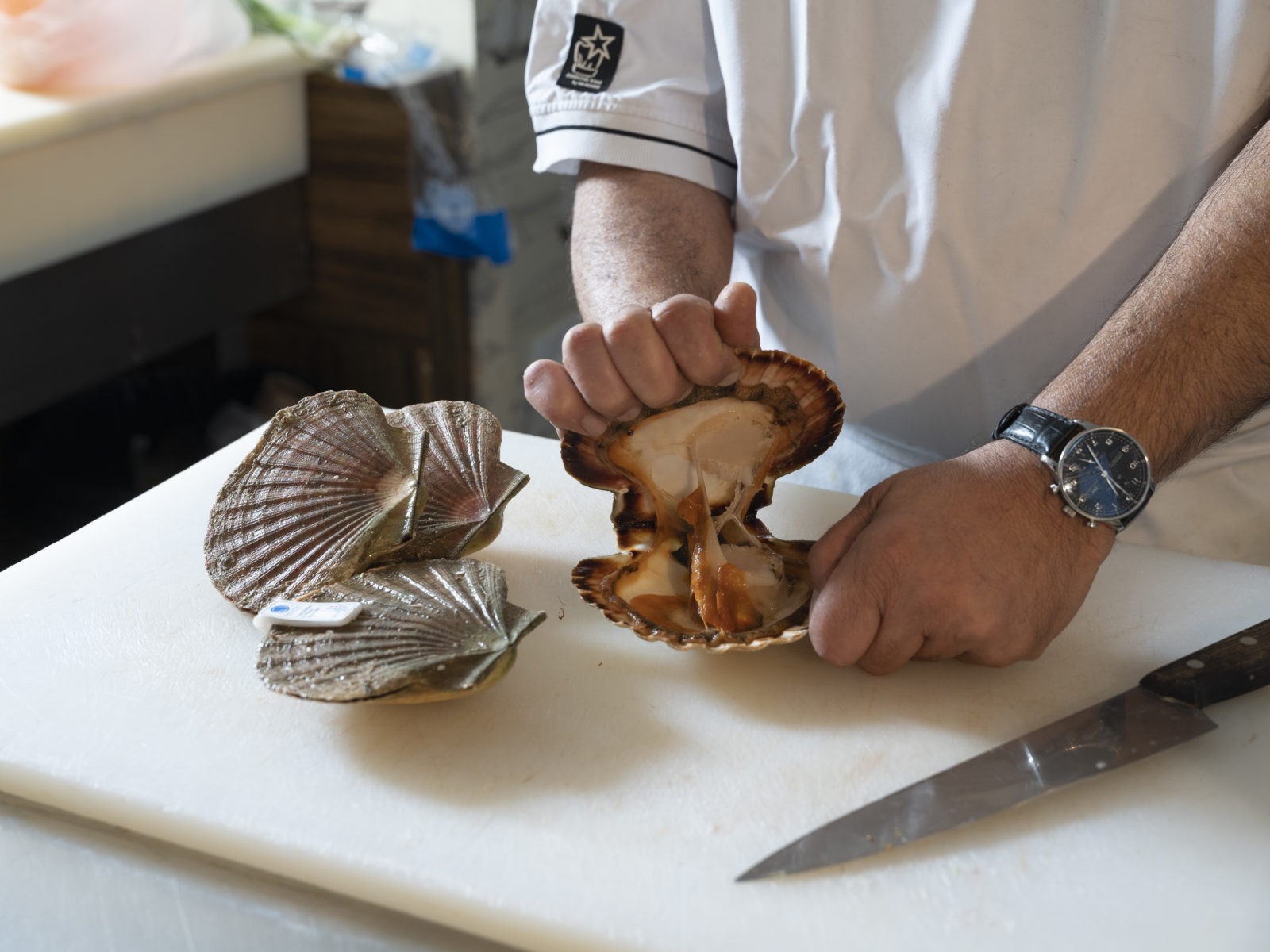 До чего додумался знаменитый шеф Израиля. Детали-Hовости Израиля